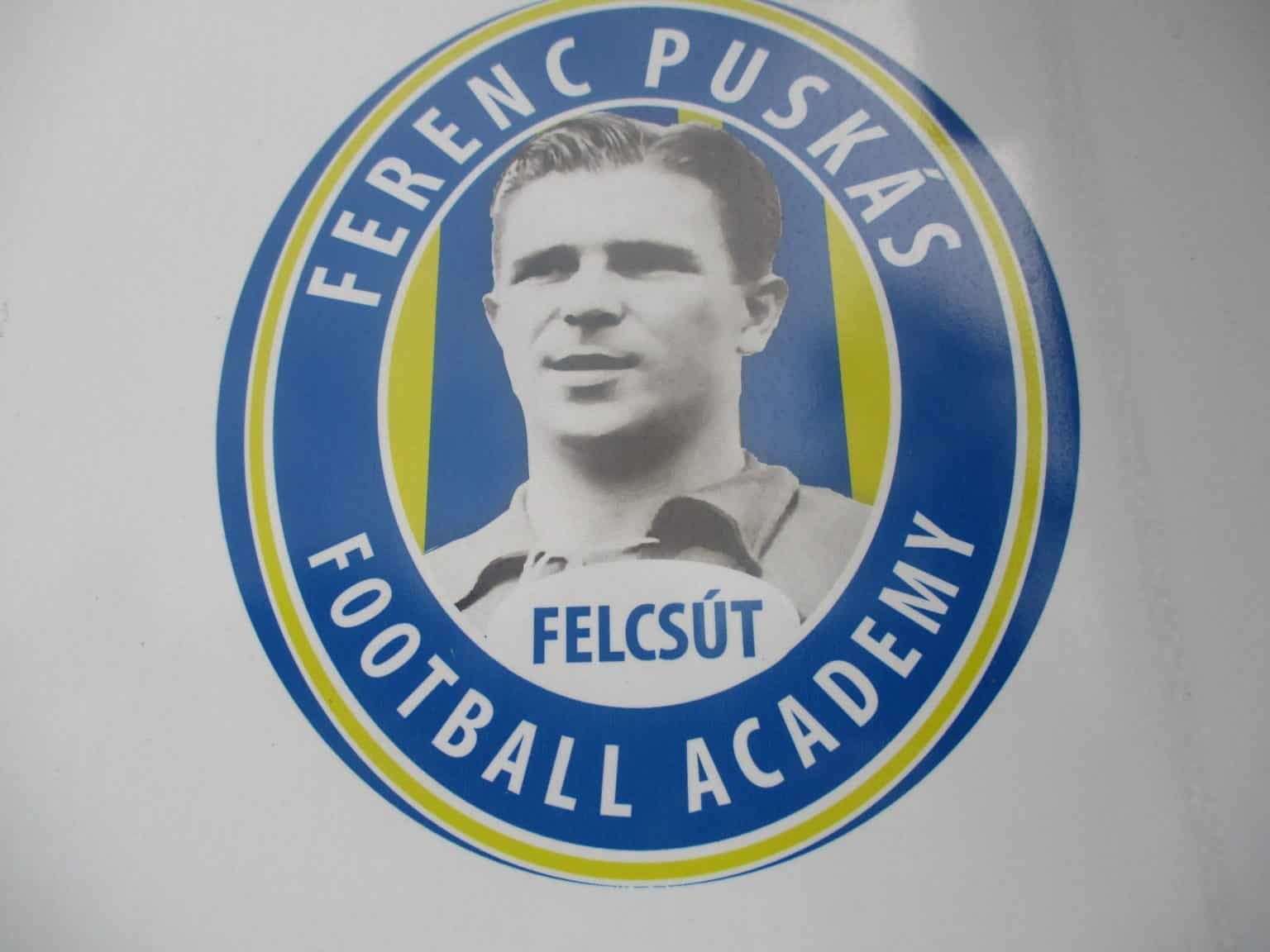 Puskás Akadémia - LiberoGuide